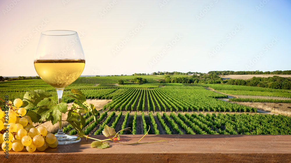 Verre de vin blanc et paysage de vigne en France Stock-Foto | Adobe Stock