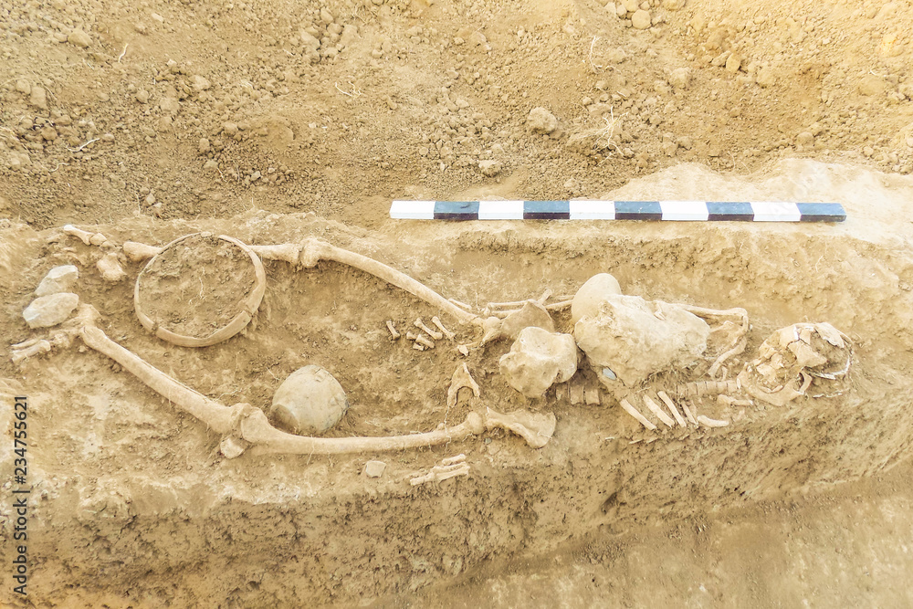 Archaeological excavations man and finds (bones of a skeleton in a ...