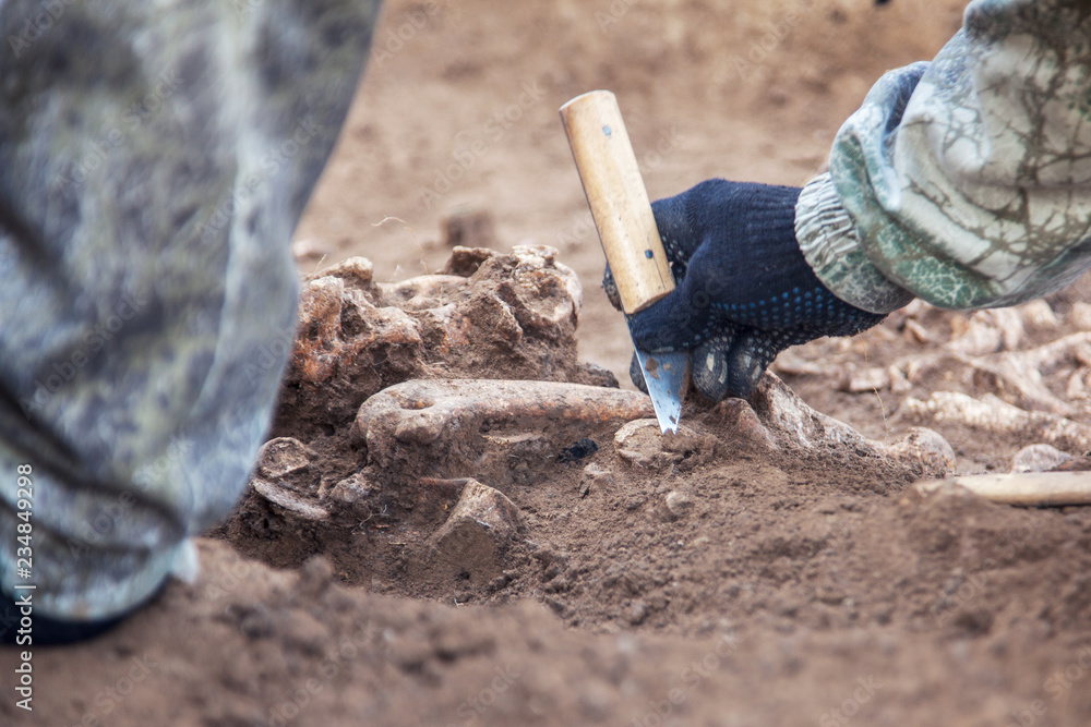 Archaeological excavation. The hands of archaeologist with tools ...
