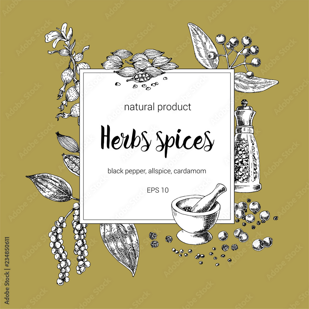 spices square frame design. hand painted illustration. Vintage sketchy ...