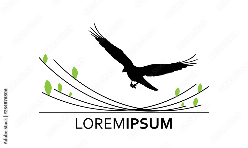 Flying Raven Bird Logo Identity Stock Vector | Adobe Stock