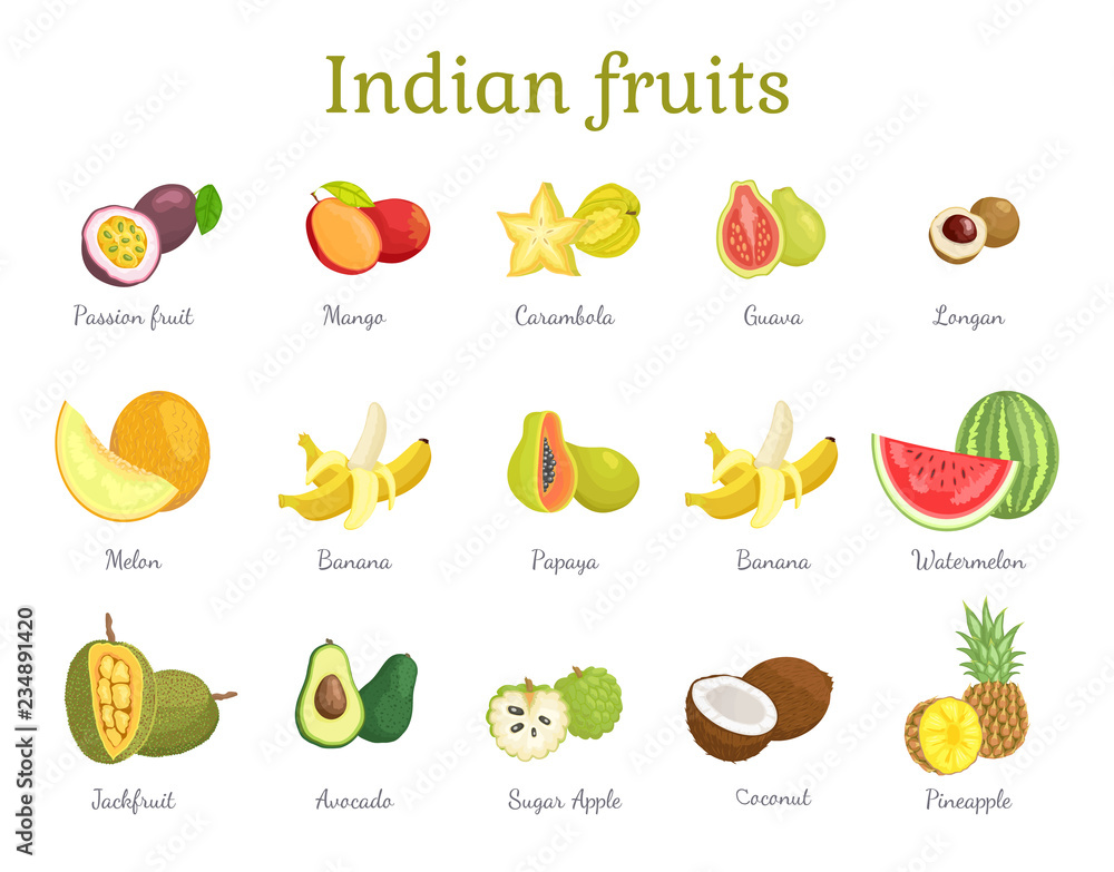 Indian Fruits Set India Food Vector Illustration Stock Vector | Adobe Stock
