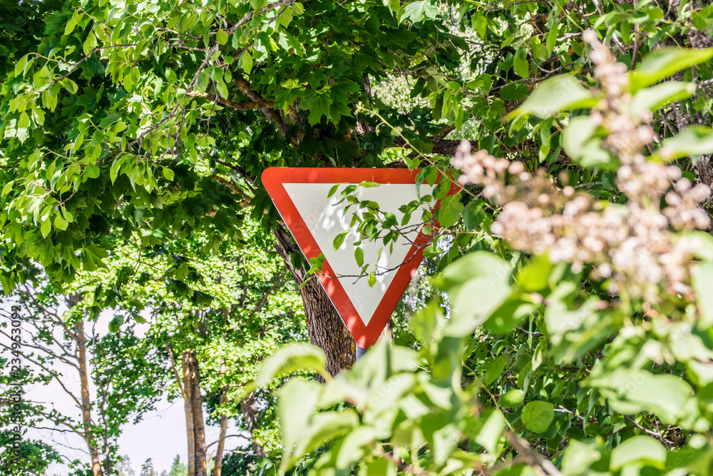 Dangerous traffic situation, overgrown bush leaves tree branches ...