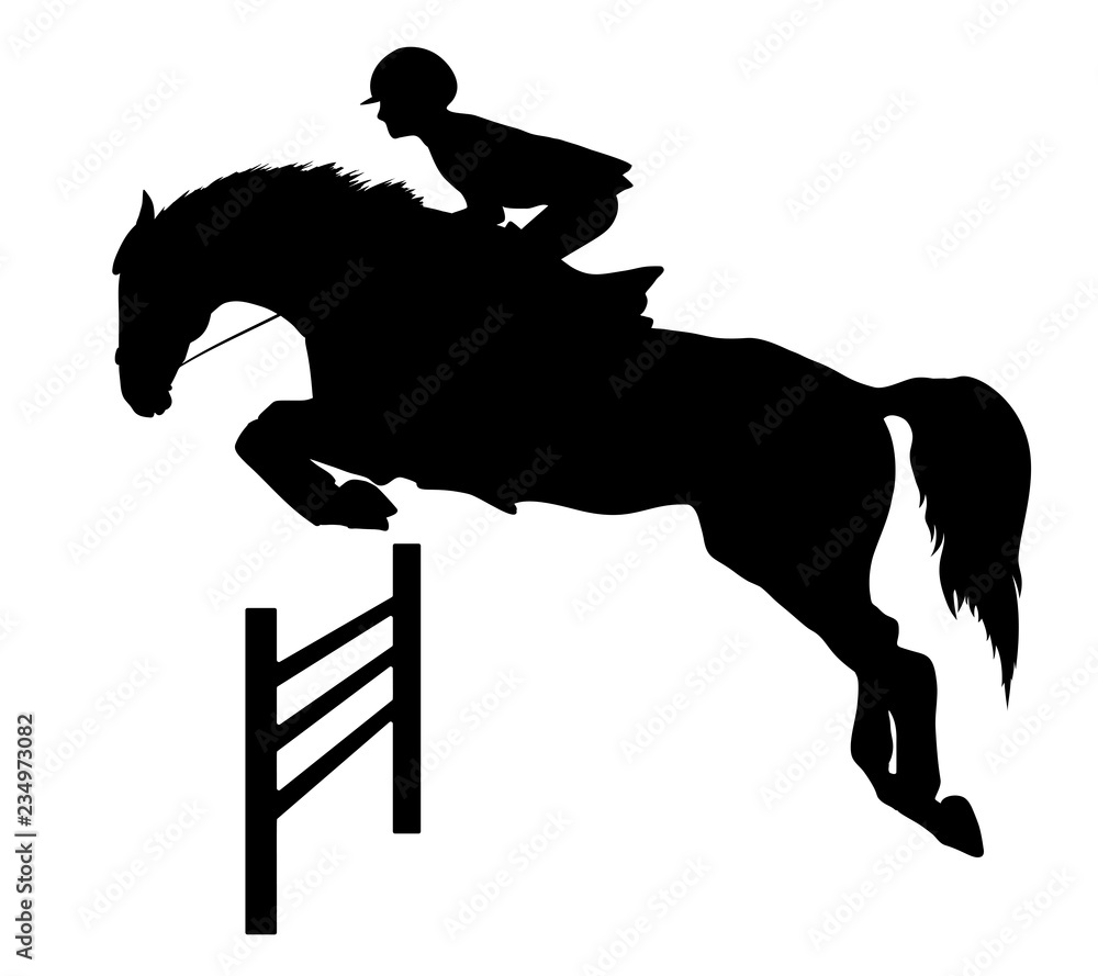 Equestrian sport, show jumping, eventing. A silhouette of a rider ...