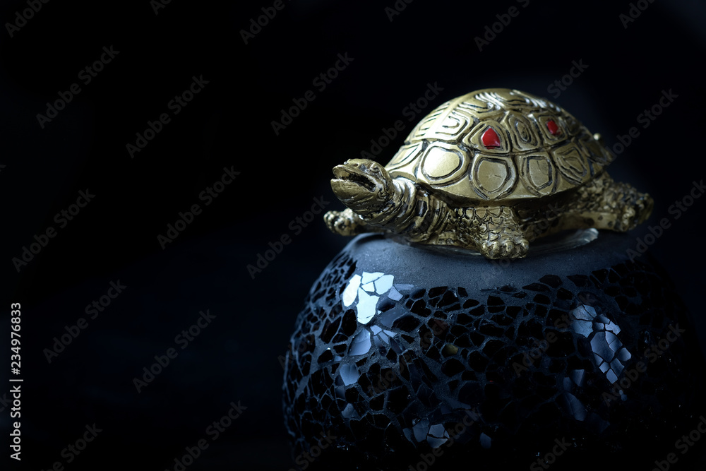 the turtle is a symbol of Buddhism black background Stock Photo | Adobe ...