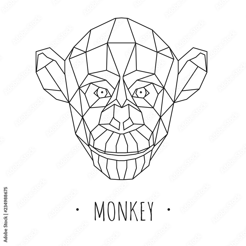 Monkey stylized triangle polygonal model. Vector illustration Stock ...