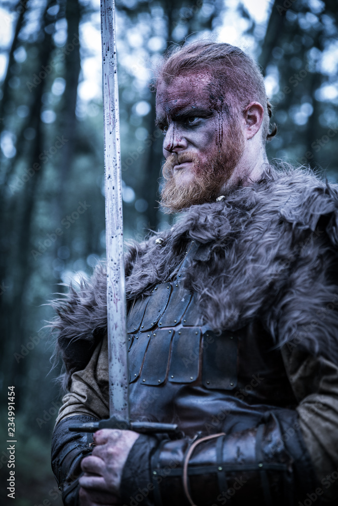 viking with red beard with armor shield and sword in the battle field ...