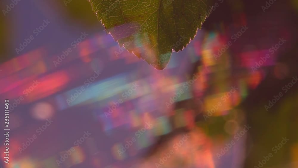Vivid colorful blurred threads of cobweb swinging in the wind and ...
