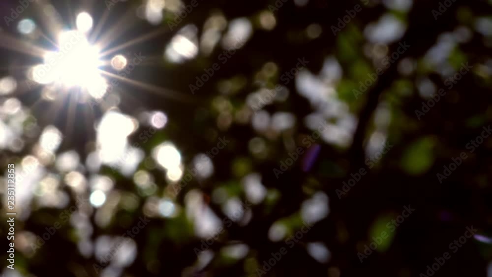 High resolution beautiful blur background with flashing sun through ...