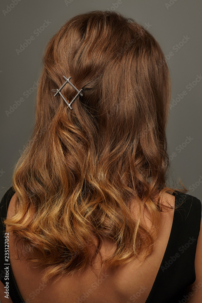 Ombre Hair Back View