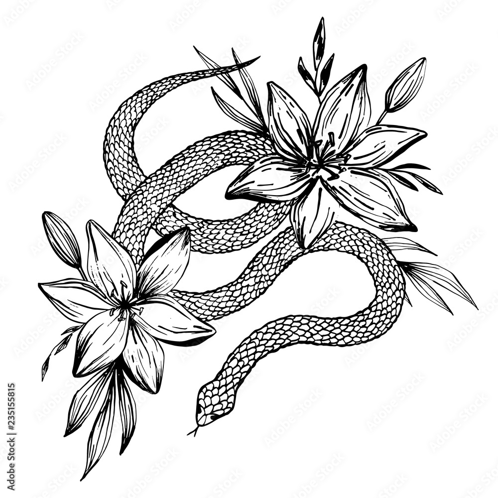 Hand drawn ink snake and lilies flowers, vector illustration. Snake ...