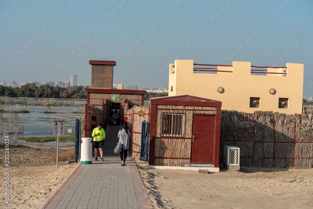 Wild Birds in Ras Al Khor Wildlife Sanctuary, Ramsar Site, Mangrove ...