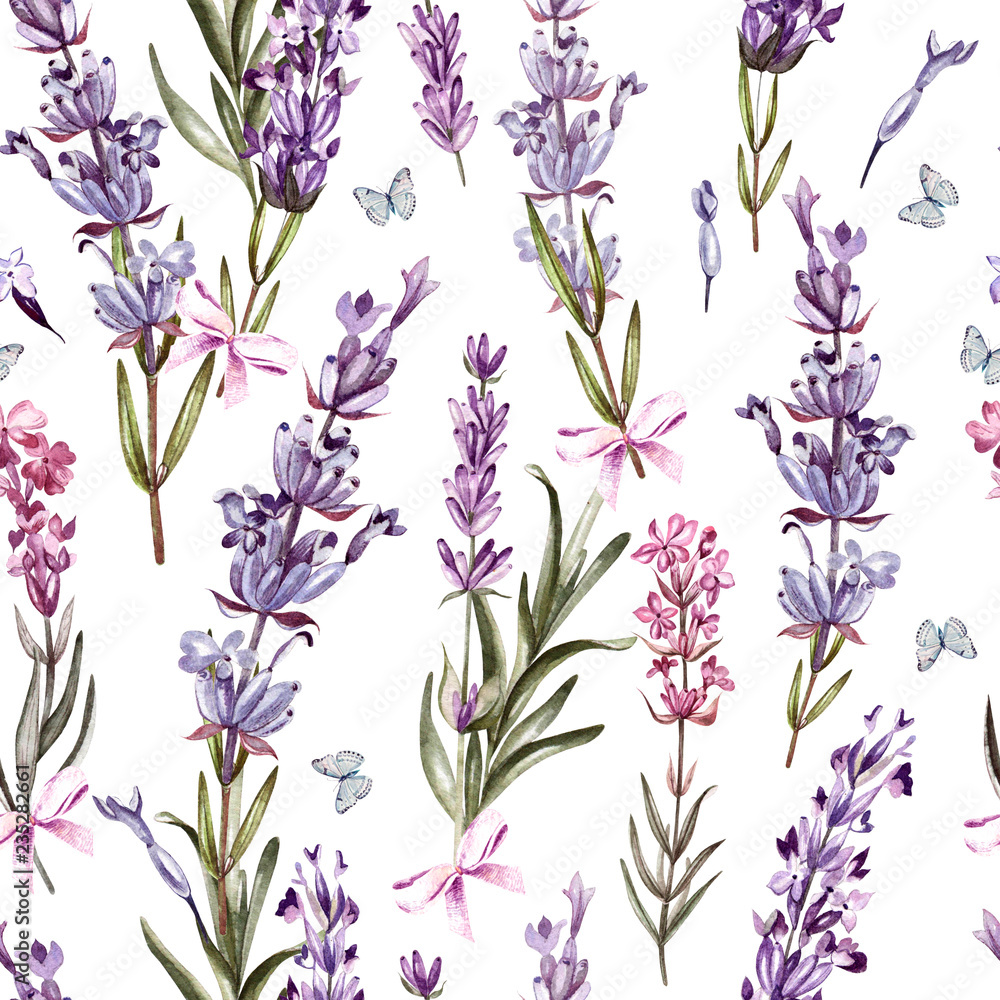 Watercolor pattern with Lavender. Hand painting. Watercolor. Stock ...