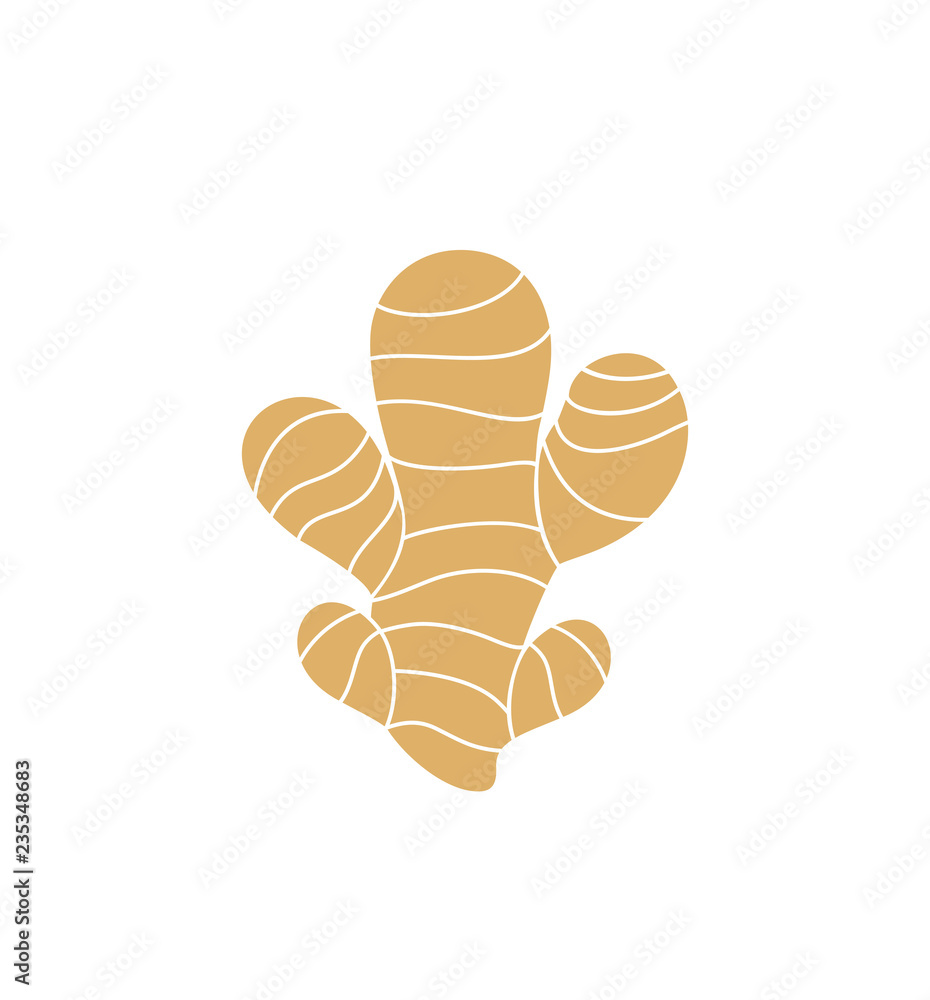 Ginger logo. Isolated ginger on white background Stock Vector | Adobe Stock