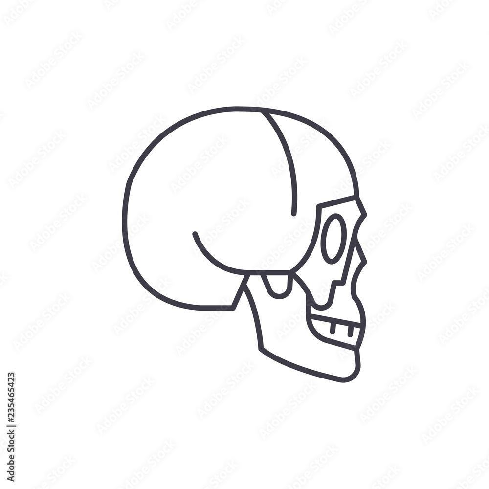 Skull side view line icon concept. Skull side view vector linear ...