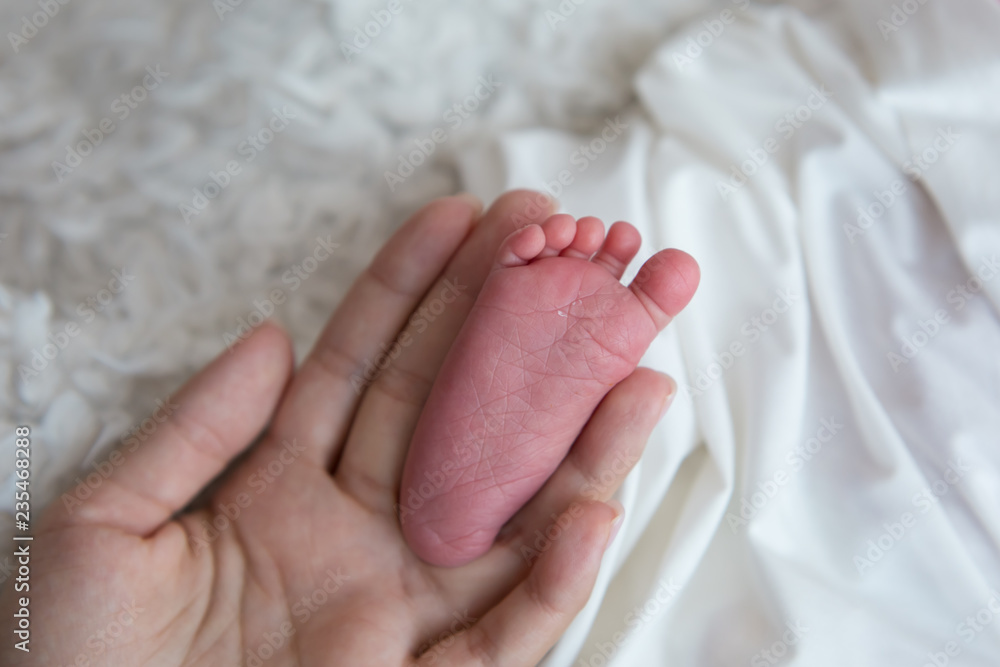 the leg of the newborn in the mother's hand. the leg of a newborn baby ...