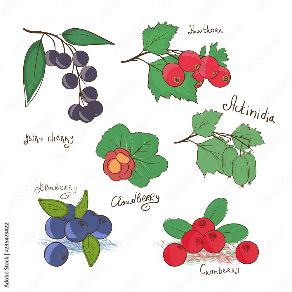 Rare Berries