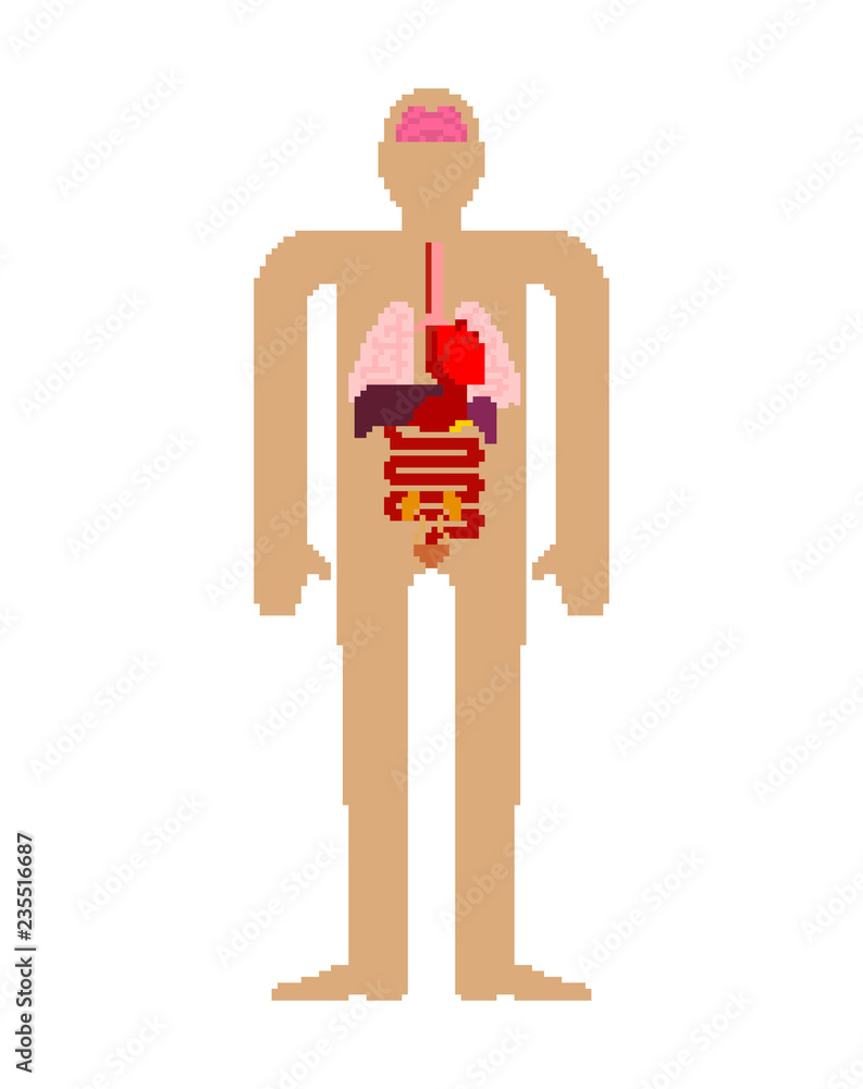Internal organ pixel art set. 8 bit anatomy of human body. Heart and ...