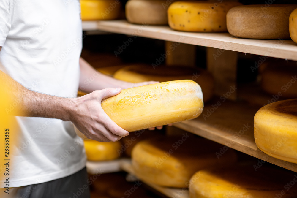 Worker taking cheese wheel at the storage during the cheese aging ...