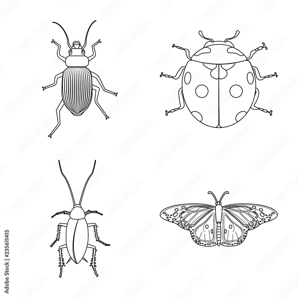 Vector design of insect and fly symbol. Set of insect and element stock ...