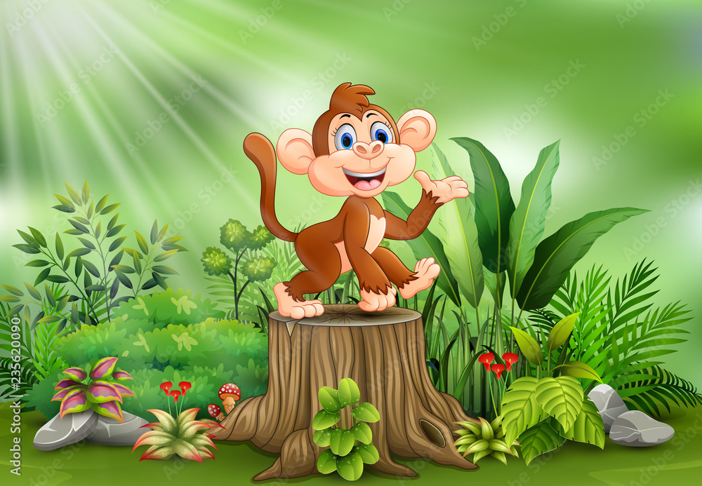 Monkey In A Tree Cartoon