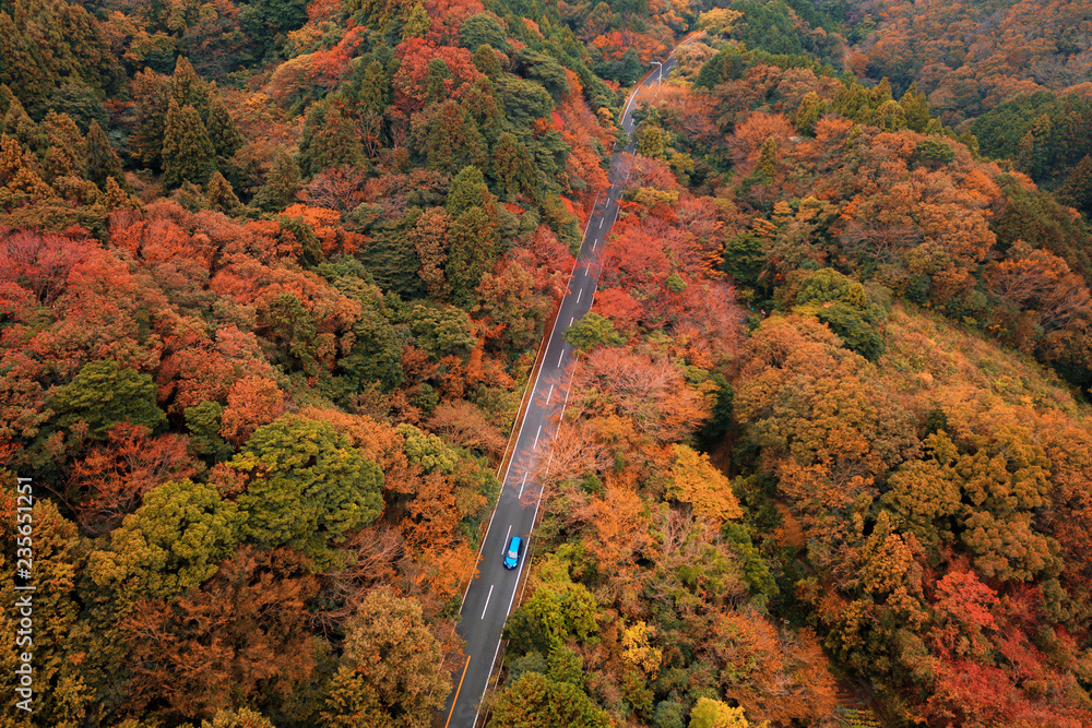 A car driving on road with fall foliage in autumn season near ...