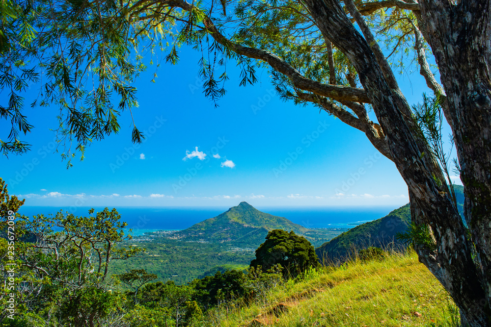 Ile Maurice - Parc National des Gorges de Rivière Noire - Point de vue ...