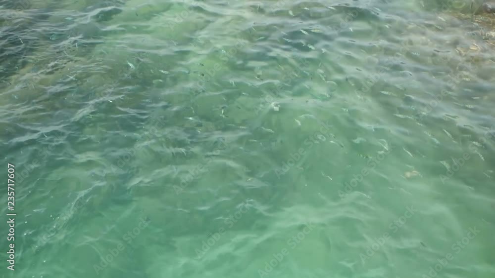 Above transparent clear blue rippling sea surface with coral reef below ...