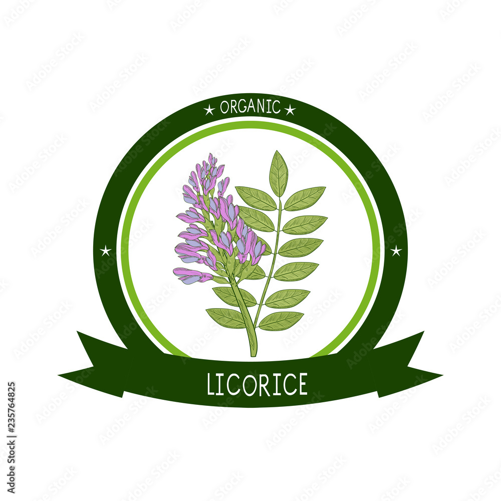 Licorice. Flower, leaves. On a white background. Sketch. Logo, sticker ...