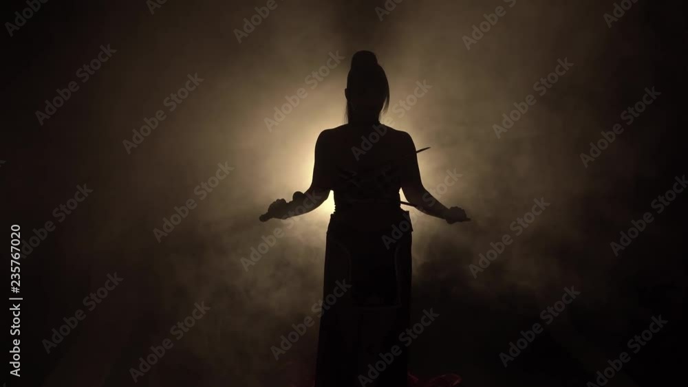 Fantasy woman queen black silhouette shadow of warrior girl with ...