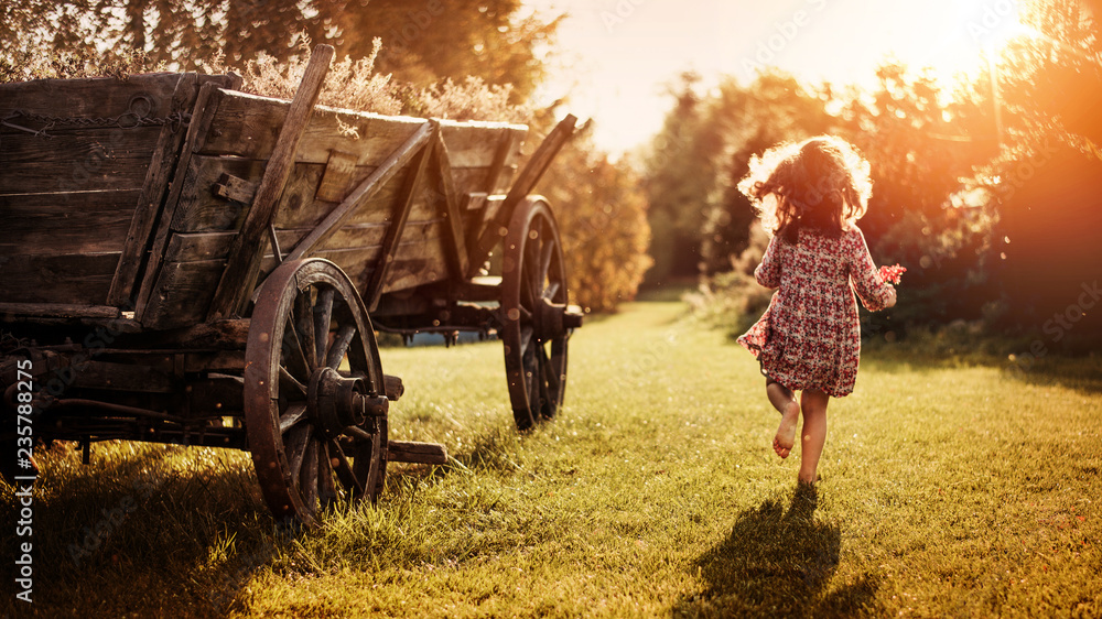 Portrait of a little girl on a farm Stock Photo | Adobe Stock