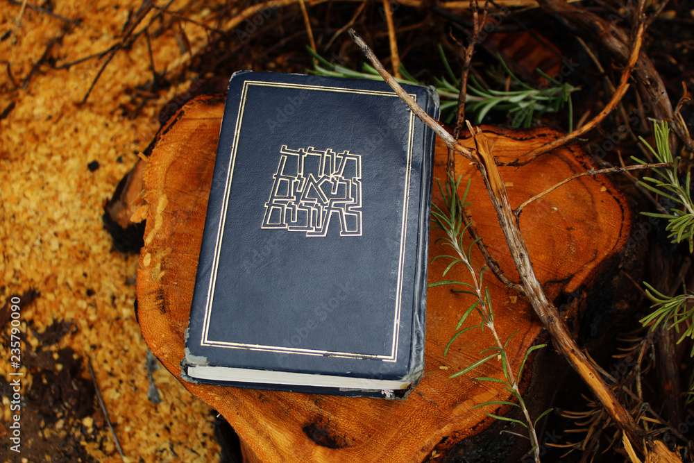 Israel: Tanakh or Hebrew Bible (Torah, Neviim, Ketuvim). Canonical ...