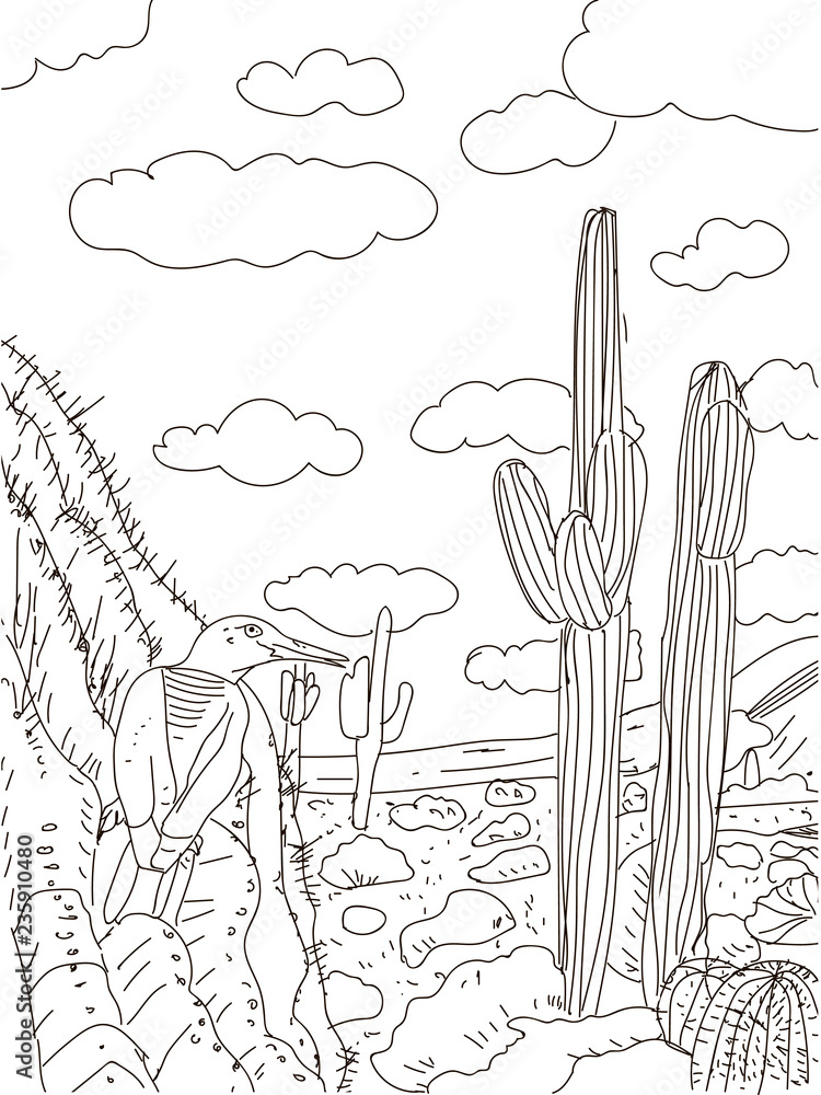 Desert Plants Coloring Pages