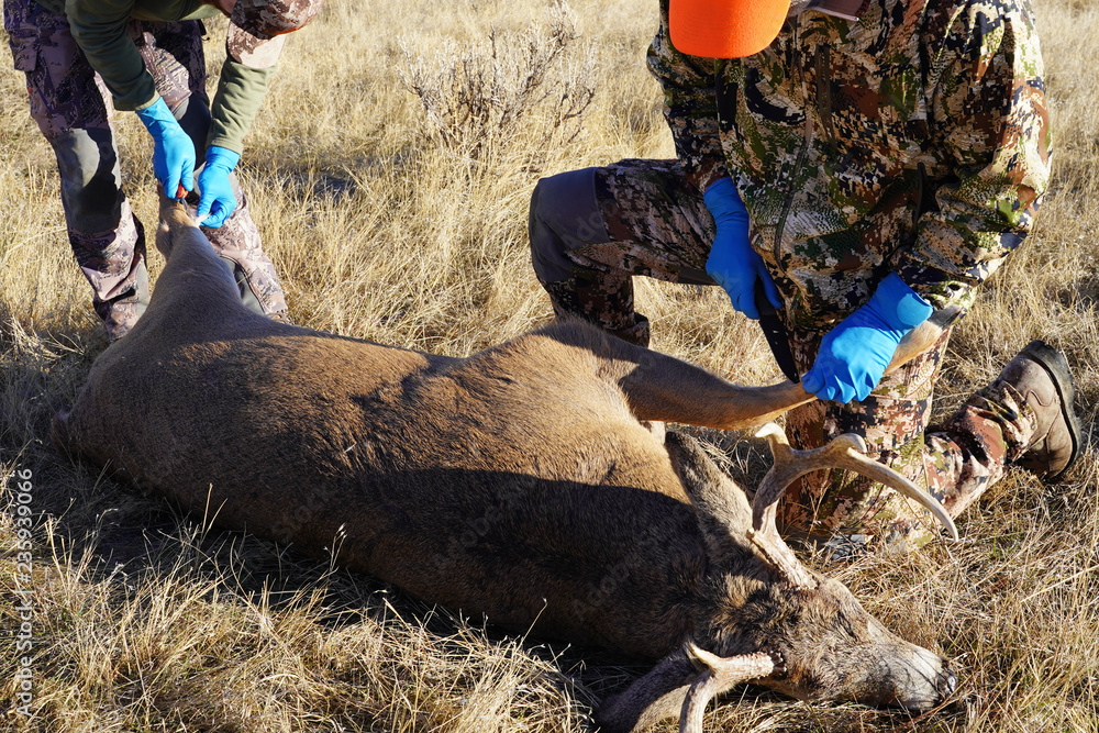 Foto De Two Male Deer Hunters Prepare To Skin Dress And Process The