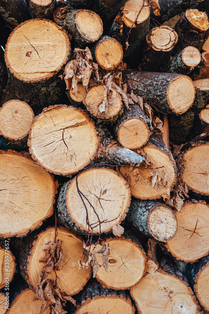 a stack of sawn dry wood. Preparation for the winter Stock Photo ...