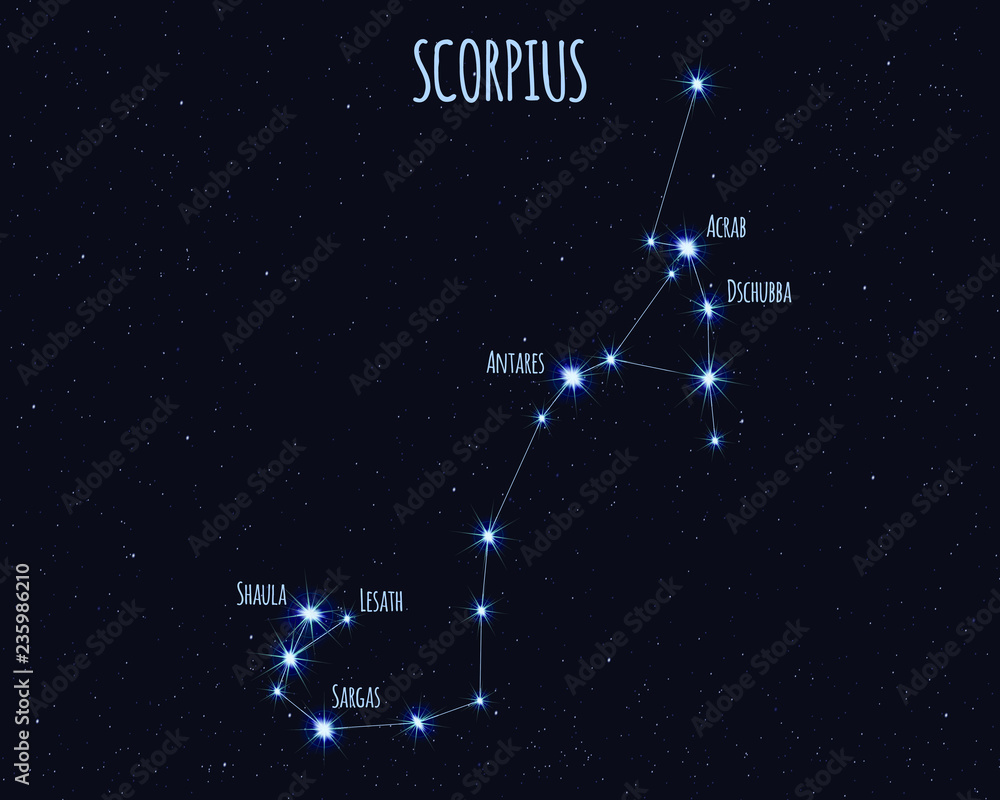 Poster Scorpius (The Scorpion) constellation, vector illustration with ...