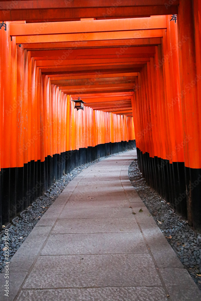 Torii path (Senbon torii) at the Fushimi Inari-taisha, connecting the ...
