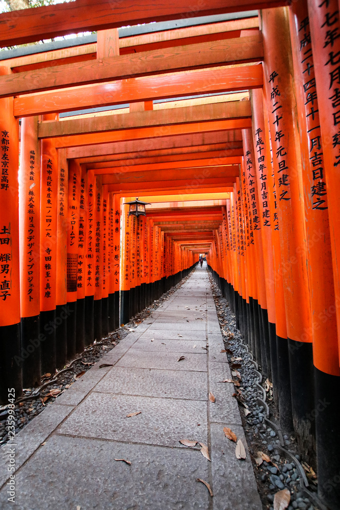 Torii path (Senbon torii) at the Fushimi Inari-taisha, connecting the ...