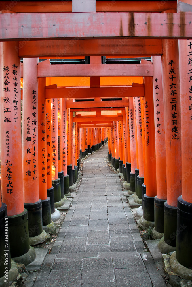 Inari shrines. Torii path (Senbon torii) at the Fushimi Inari-taisha ...