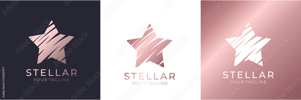 Star logo vector. Universal abstract logo with a star symbol for any ...