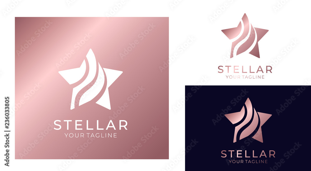 Star logo vector. Universal abstract logo with a star symbol for any ...