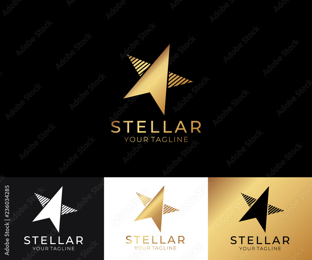 Star logo vector. Universal abstract logo with a star symbol for any ...