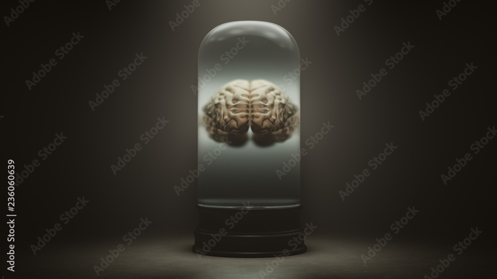 Human Brain Floating in a Liquid in a Bell Jar with a Dark Foggy ...