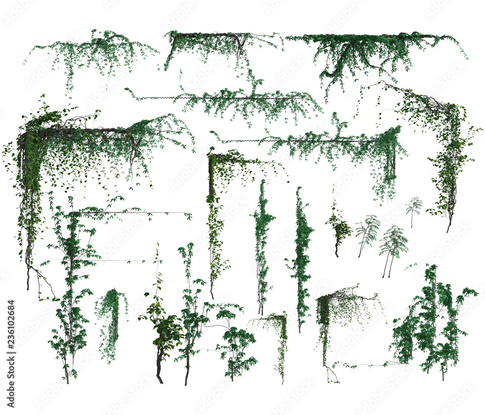 3D corner and straight vines isolated Stock Illustration | Adobe Stock