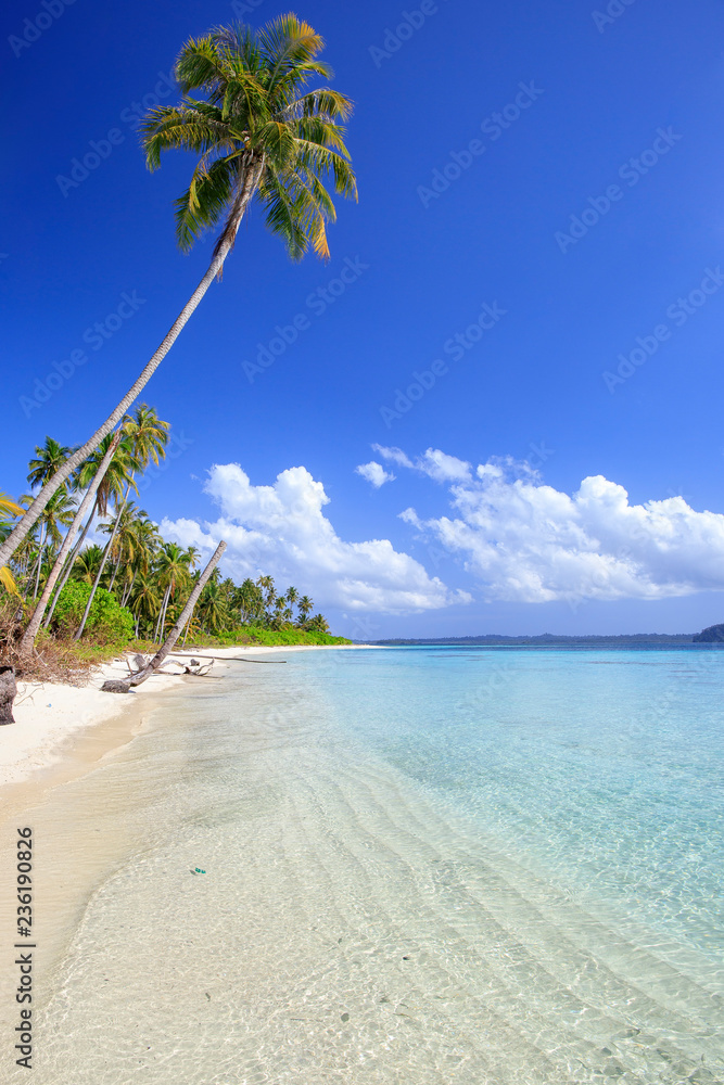 A nice and empty beach in a tropical desert island of Sumatra ...