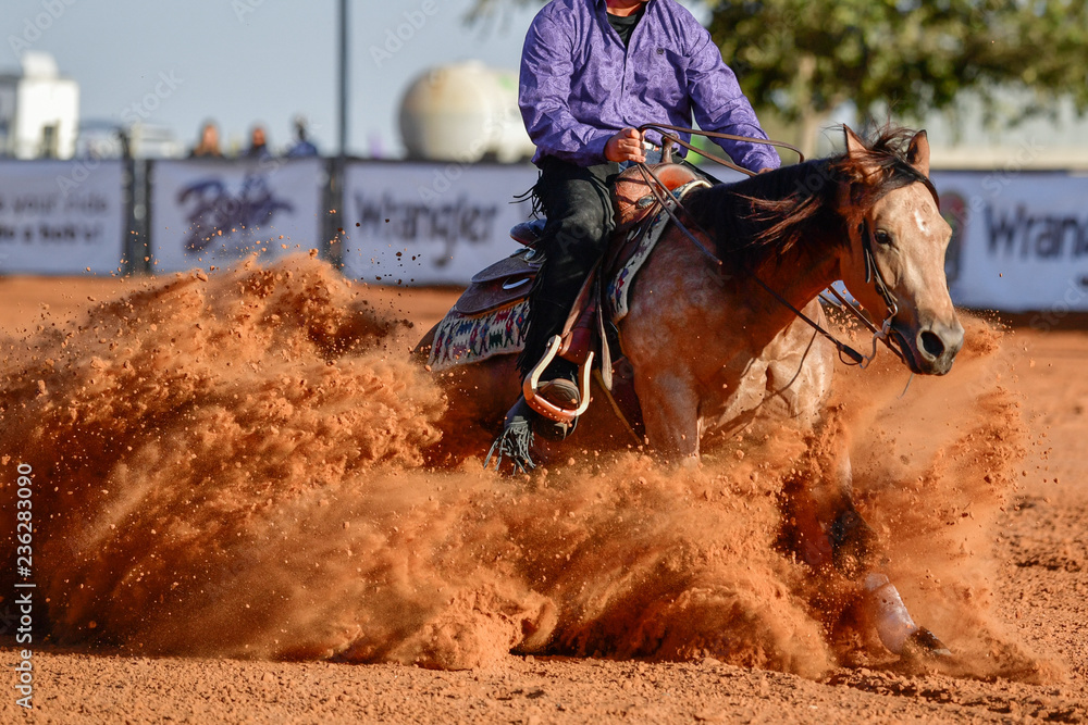 The side view of a rider in jeans, cowboy chaps and checkered shirt on ...