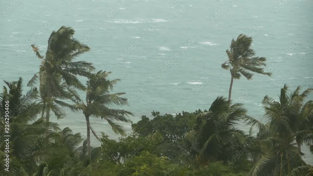 Seaside landscape during natural disaster hurricane. Strong cyclone ...