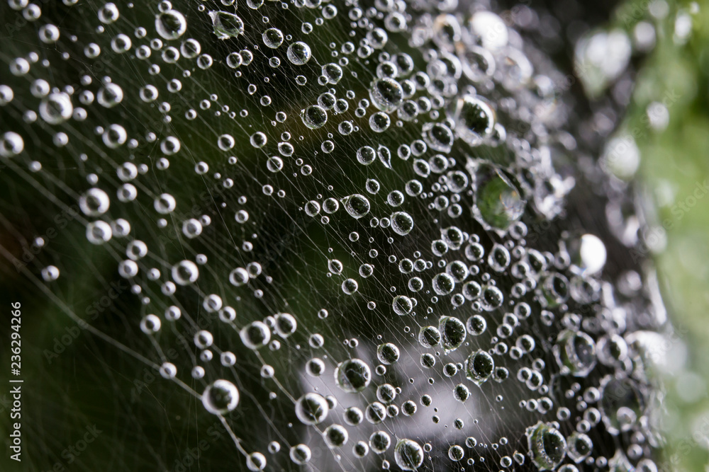 water, abstract, green, bubbles, bubble, drop, texture, macro, blue ...