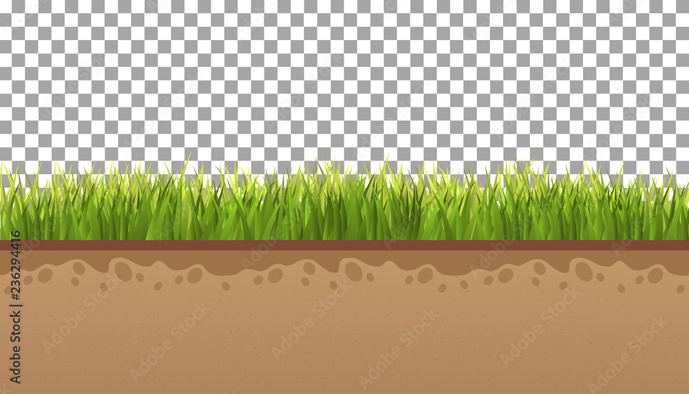 Grass Ground Vector