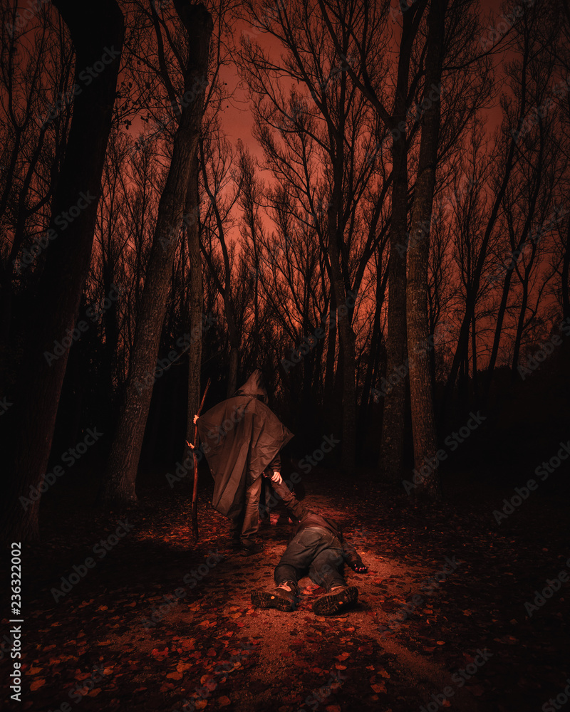 Person in wizard costume carrying man between murk forest in redness ...